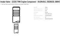 China TRW Intake Valve 22325 Engine Component 04284042 21026535 099VE91216000 Long-Lasting Durability for sale