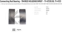 China Building Material Shops Connecting Rod Bearing 79411620 KOLBENSCHMIDT 71-47230.50 71-4723 with Superior Performance for sale