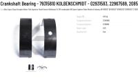 China 0.13kg Original KS Crankshaft Bearing for Customer Requirements 79315610 KOLBENSCHMIDT 02931583 22967569 20850110 for sale