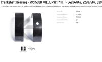 China 0.12kg Original KS Crankshaft Bearing 79315600 KOLBENSCHMIDT 04284642 22967564 02931580 for Machinery Repair Shops for sale