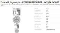 China Piston set 41506600 04295314 04290313 04259116 0429 5314 0429 0313 0425 9116 4295314 4290313 4259116 for Deutz tcd2012 for sale