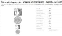 China PISTON SET 41506600 04295314 04290313 04259116  0429 5314 0429 0313 0425 9116 4295314 4290313 4259116 for deutz TAD720GE TAD730G BFM1013 TCD2012 TAD520VE for sale