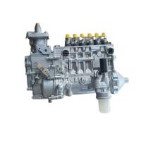 China Fuel Injection Pump 04234301 0423 4301 4234301 for DEUTZ BF6L914C TCD914 L06 engine for sale