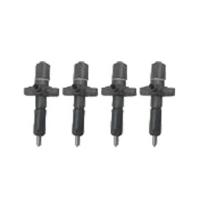 China Fuel Injector 17/103800 17-103800 17103800 for JCB 3CX 3C-2 3CX-2 3CX-4 3D 4C 4C-2 4CN-2 for sale