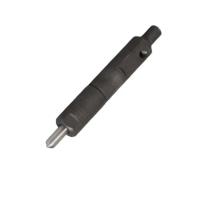 China Fuel Injector LJCB00904A 2645A058 17/105400 17-105400 17/110100 17105400 17110100 17-110100 For JCB for sale
