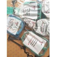 China Gasket Set 02931285 02931437 02931479 0293 1285 0293 1437 0293 1479 2931285 2931437 2931479 for deutz TCD2013 Engine for sale