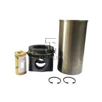 China Piston Set 98mm 04501365 04258283 04252842 4501365 4258283 4252842 0450 1365 0425 8283 0425 2842 for volvo BF6M2012 BF4M2013 BF6M2013 TAD620 D6D Engine for sale