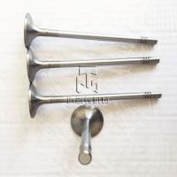China Inlet Valve And Exhaust Valve 04903005 04900685 0490 3005 0490 0685 4903005 For TCD2013 4V TAD561 TAD560 for sale