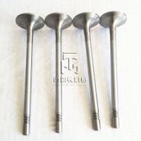 China Inlet Valve And Exhaust Valve 04903005 04900685 0490 3005 0490 0685 4903005 For TCD2013 4V TAD561 TAD560 for sale