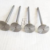 China Inlet Valve And Exhaust Valve 04903005 04900685 0490 3005 0490 0685 4903005 For TCD2013 4V TAD561 TAD560 for sale