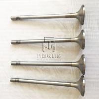 China Inlet Valve And Exhaust Valve 04903005 04900685 0490 3005 0490 0685 4903005 For TCD2013 4V TAD561 TAD560 for sale