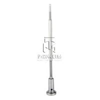 China Engine Injection Valve F00V C01 367 F00VC01367 for Injector 0445110318 0445110361 for sale