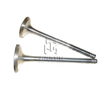 China Intake Valve 04280404 04280052 4280404 4280052 0428 0404 0428 0052 Exhaust Valve 04280049 0428 0049 4280049 for deutz BFM1011 FL1011 Engine for sale