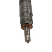 China FUEL INJECTOR 04290986 20798114 02113694 04289311 0445120066 For Volvo D7E D5E TAD760 TAD750VE TCD2013 TAD750VE Engine for sale