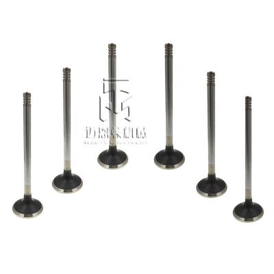 China Inlet valve exhaust valve 0420 9111 0425 5255 0428 3381 04289248 04255254 4209111 4255255 4283381 4289248 4255254 20417380 04209111 04255255 04283381 0428 9248 0425 5254 04283380 for  D7D BFM1013 for sale