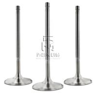 China Inlet valve exhaust valve 0420 9111 0425 5255 0428 3381 04289248 04255254 4209111 4255255 4283381 4289248 4255254 20417380 04209111 04255255 04283381 0428 9248 0425 5254 04283380 for  D7D BFM1013 for sale