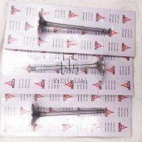 China Inlet valve exhaust valve 0420 9111 0425 5255 0428 3381 04289248 04255254 4209111 4255255 4283381 4289248 4255254 20417380 04209111 04255255 04283381 0428 9248 0425 5254 04283380 for  D7D BFM1013 for sale