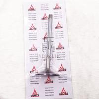China Inlet And Exhaust Valve 04509353 04509354 0450 9353 0450 9354 4509353 4509354 For Deutz BF6M1013 Engine for sale