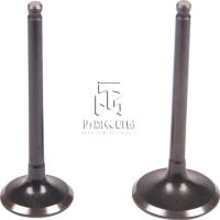 China exhaust valve intake valve 04159139 04153697 04231804 04159140 04153455 4159139 4153697 4231804 4159140 4153455 041 59139 0415 3697 0423 1804 0415 9140 0415 3455 for deutz BFL913 BFL914 engine for sale