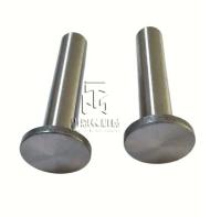 China Valve Tappet 04178075 02109031 0417 8075 0210 9031 4178075 2109031 for deutz FL1011 FM1011 FL2011 D2011 TD2011 FM1011 for sale