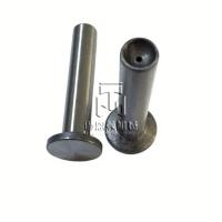 China Valve Tappet 04178075 02109031 0417 8075 0210 9031 4178075 2109031 for deutz FL1011 FM1011 FL2011 D2011 TD2011 FM1011 for sale