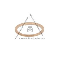 China Sealing ring 01118713 01118915 0111 8713 0111 8915 0118713 1118915 For DEUTZ TD3.6 Engine for sale