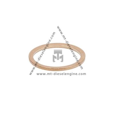 China Sealing ring 01118713 01118915 0111 8713 0111 8915 0118713 1118915 For DEUTZ TD3.6 Engine for sale