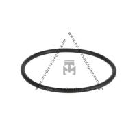 China O-seal 06214832 0621 4832 6214832 For DEUTZ TD3.6 Engine for sale