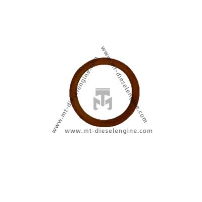 China Sealing ring 01118737 1118737 0111 8737 For DEUTZ TD3.6 Engine for sale