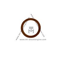 China Sealing Ring 01118737 0111 8737 1118737 For Deutz TCD4.1 Engine for sale