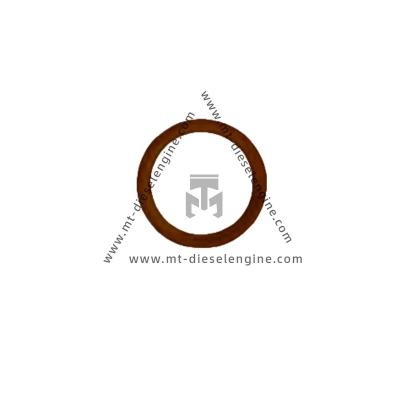 China Sealing Ring 01118737 0111 8737 1118737 For Deutz TCD4.1 Engine for sale