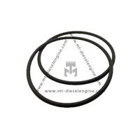 China O-seal 01182028 0118 2028 1182028 For Deutz TCD4.1 Engine for sale