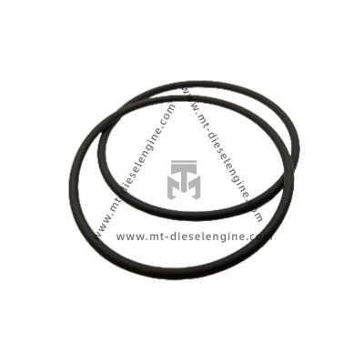 China O-seal 01182028 0118 2028 1182028 For Deutz TCD4.1 Engine for sale
