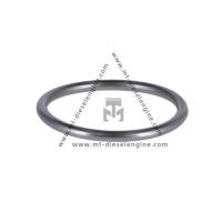 China O-seal 01182854 0118 2854 1182854 For Deutz TCD4.1 Engine for sale