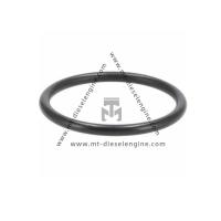 China O-seal 04502241 0450 2241 4502241 For Deutz TCD4.1 Engine for sale
