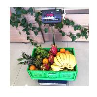 China Plastic Fruit Storage Crate Baskets Vegetable Storage Folded 600x400x52mm for sale