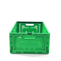 China Foldable Collapsible Plastic Storage Crate Tomato Boxes 600x400x52mm for sale