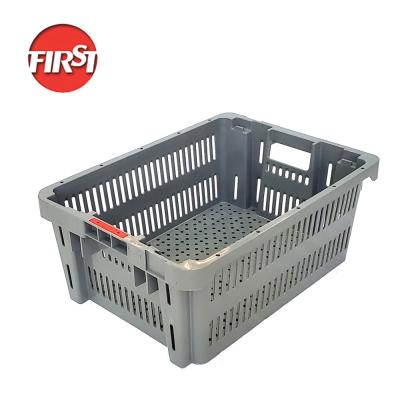 China Sturdy Plastic Crates PP Vented Stackable Harvest Basket Turnover for Tomato Packaging for sale