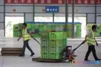 China Mesh Style 40L Vented Agriculture Storage Crate for Storing and Transporting Produce for sale