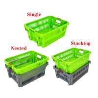 China Green Plastic Crate For Reusable Egg Transport Storage Solutions Industrial Collapsible for sale