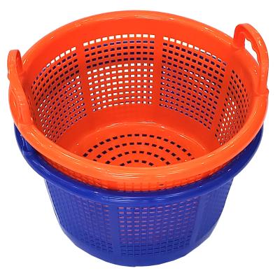 China Aquaculture Shrimp Basket plastic storage seafood harvesting stackable perforated easy clean for sale