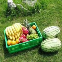 China Collapsible Plastic Containers for Vegetables 600*400*220mm External Size Gray Color for sale