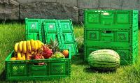 China Reusable Foldable Mesh Style Storage Container for Harvesting Crates Size 600*400*52mm for sale