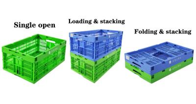 China Ventilated Custom Plastic Crates For Agriculture & Warehouse Logistics for sale