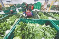 China Ventilated Custom Plastic Crates For Agriculture & Warehouse Logistics for sale