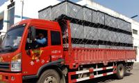 China 4 way Collapsible Plastic Pallet Container For Automotive Parts Transportation And Storage for sale