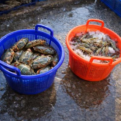 China Plastic Shrimp Basket Perforated Bushel Basket Food Grade HDPE Orange Basket for sale
