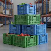 China Ventilated Custom Plastic Crates For Agriculture & Warehouse Logistics for sale