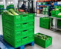 China Foldable Plastic Crate Manufacturer Collapsible Moving Crates For Global Logistics for sale