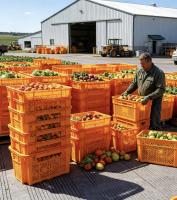 China Stack And Nest Plastic Crate Agricultural Fruit & Vegetable Produce Container for sale